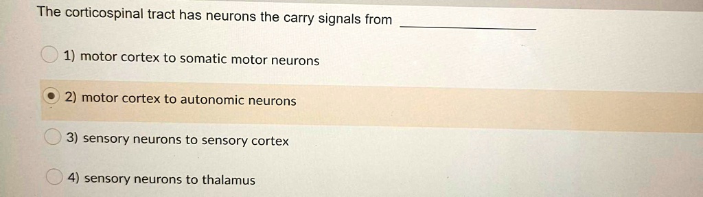 The corticospinal tract has neurons the carry signals from 1) motor ...