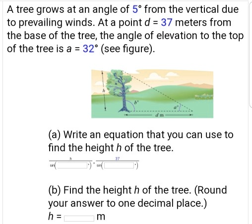 a tree grows at an angle of 58 from the vertical due to prevailing ...