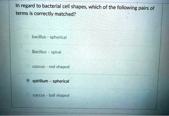 SOLVED: In regard to bacterial cell shapes, which of the following ...