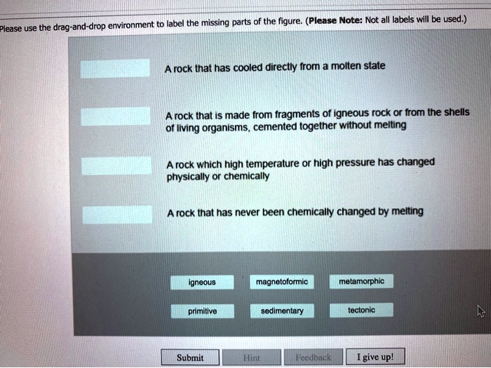 SOLVED: Text: Environment to label the missing parts of the figure ...