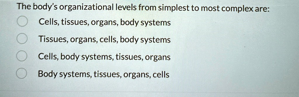 the bodys organizational levels from simplest to most complex are cells ...