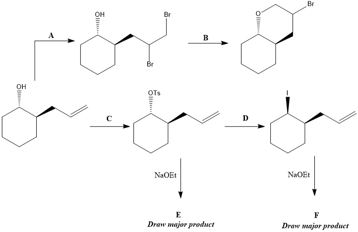 SOLVED: NaOEt NaOEt Draw major product Draw major product