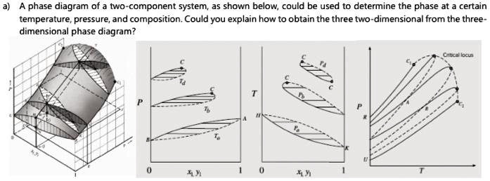 a) A phase diagram of a two-component system, as shown below, could be ...