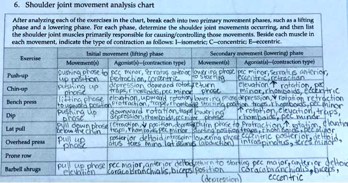 SOLVED: 6.Shoulder joint movement analysis chart After analyzing each of the exercises in the ...