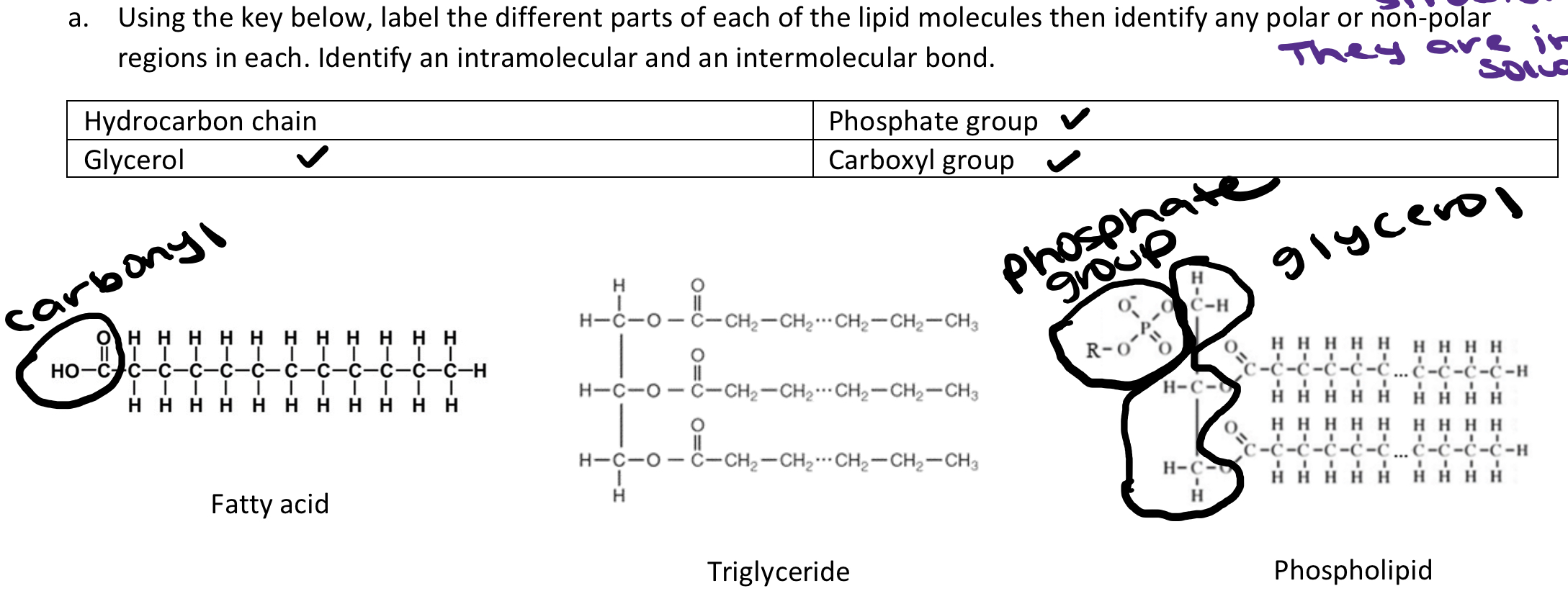 SOLVED: a. Using the key below, label the different parts of each of ...