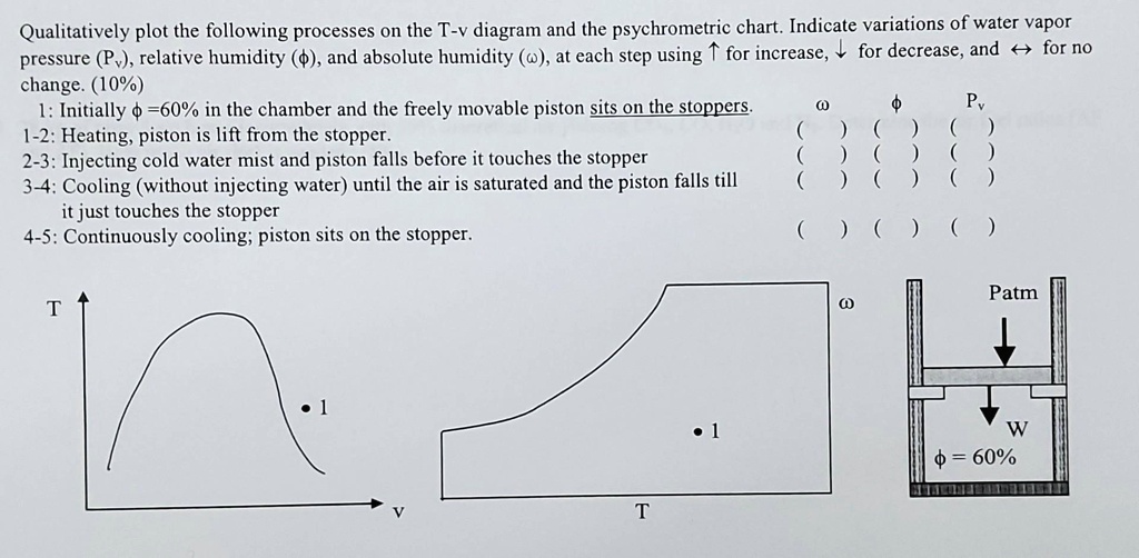 SOLVED: Qualitatively plot the following processes on the T-v diagram ... SOLVED: Qualitatively plot the following processes on the T-v diagram ...