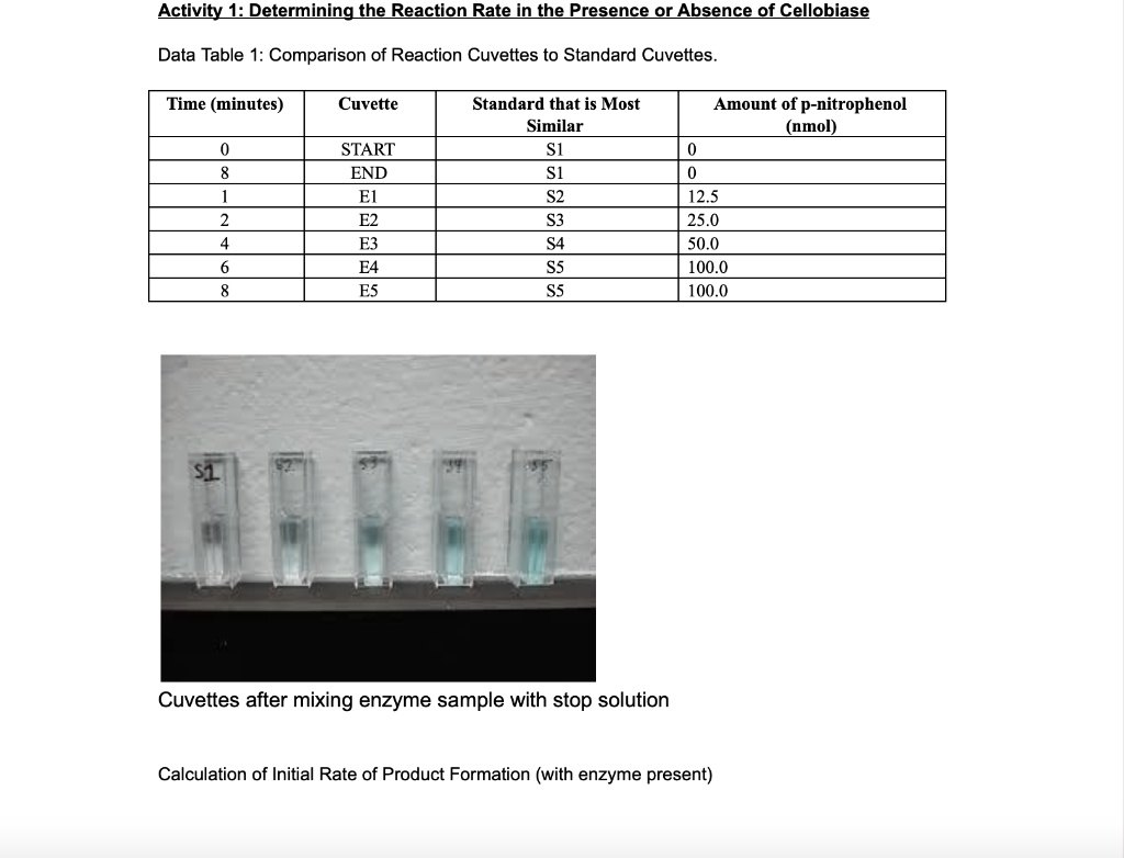 SOLVED:Activity 1: Determining the_Reaction Ratein the Presence or ...