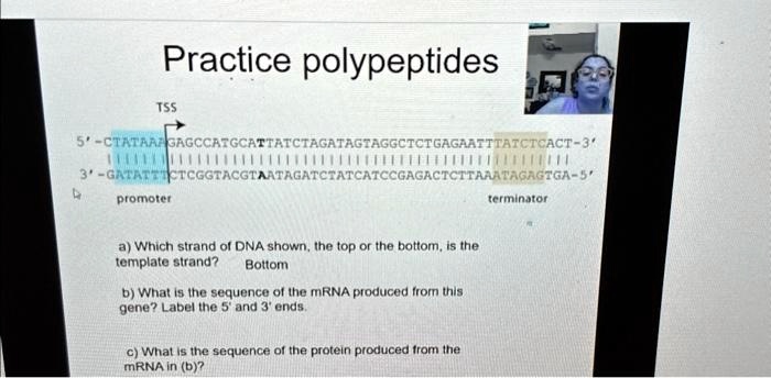 SOLVED: a) Which strand of DNA shown, the top or the bottom, is the template strand? Bottom b ...