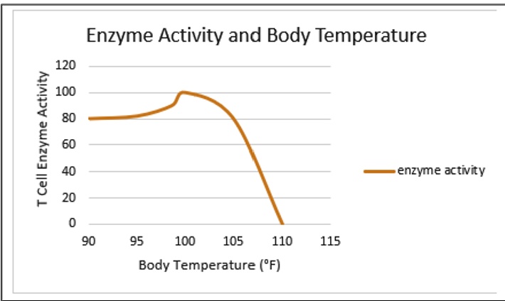 enzyme activity and body temperature 120 1 100 80 l 60 40 enzyme ...