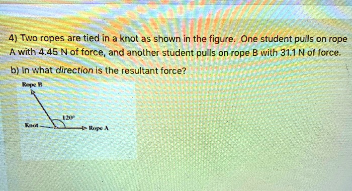 SOLVED: Two ropes are tied in a knot as shown in the figure. One ...