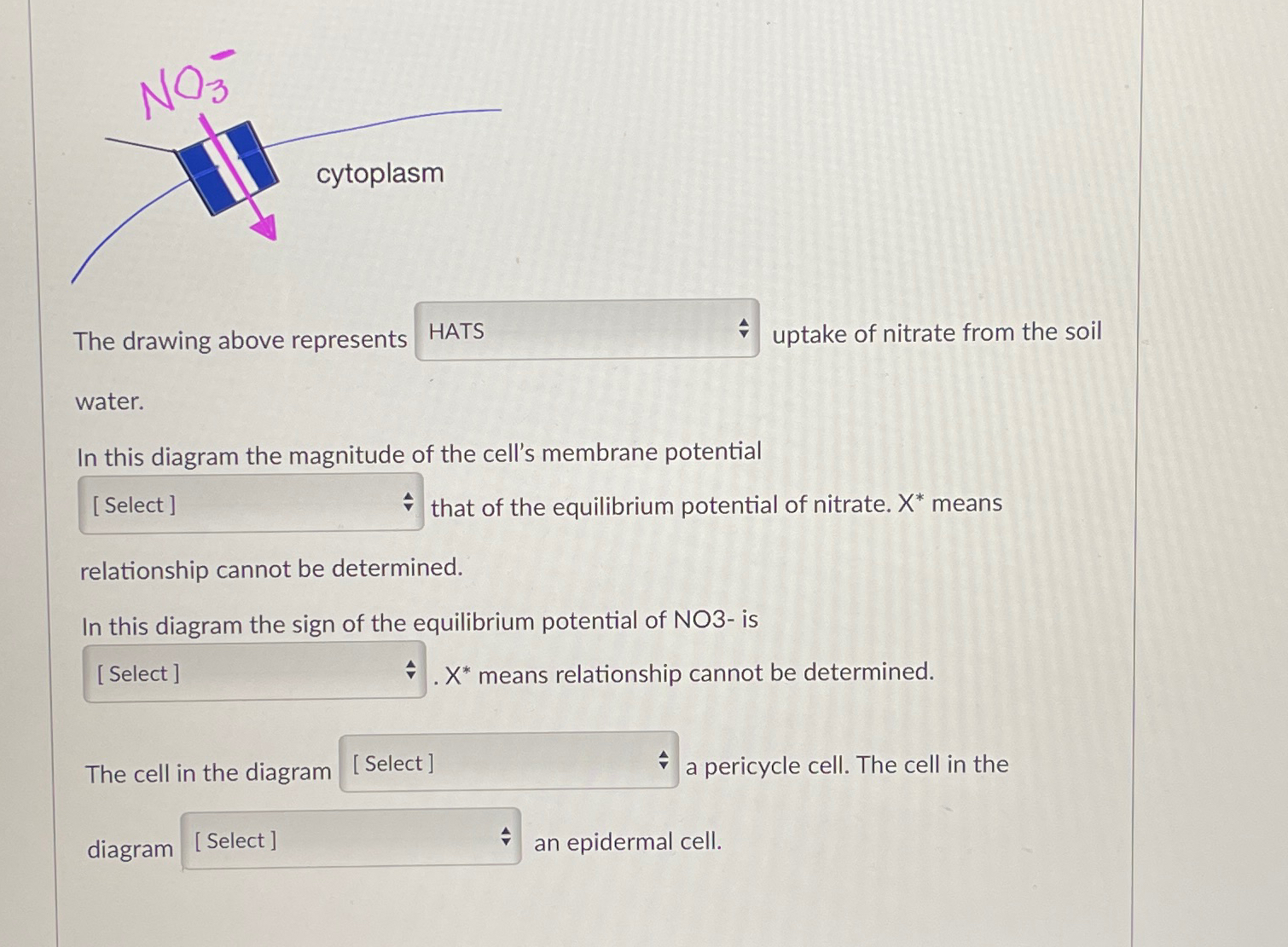 SOLVED: cytoplasm The drawing above represents HATS uptake of nitrate ...