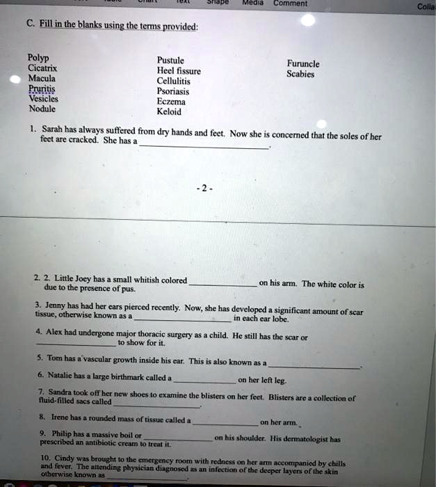meoid comment colh fill in the blanks using the terms provided pustule heel fissure cellulitis ...