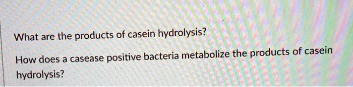 SOLVED:What are the products of casein hydrolysis? How does a casease ...