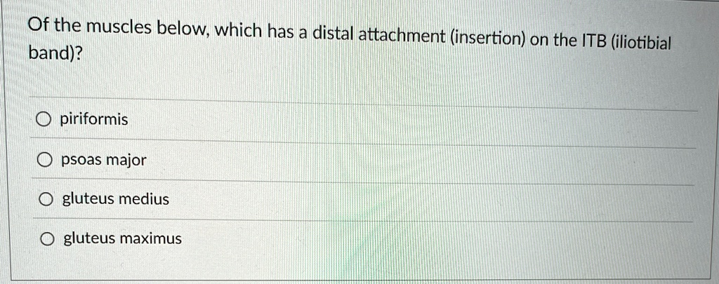 Of the muscles below, which has a distal attachment (insertion) on the ...