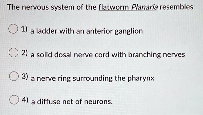 SOLVED: The nervous system of the flatworm Planaria resembles 1) a ...