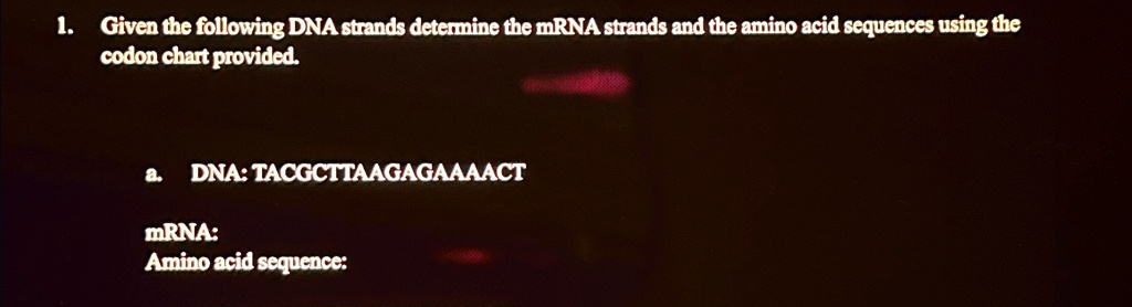 Given the following DNA strands, determine the mRNA strands and the ...