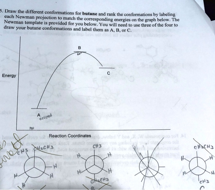 SOLVED: Draw the different conformations for butane and rank the conformations by labeling each ...