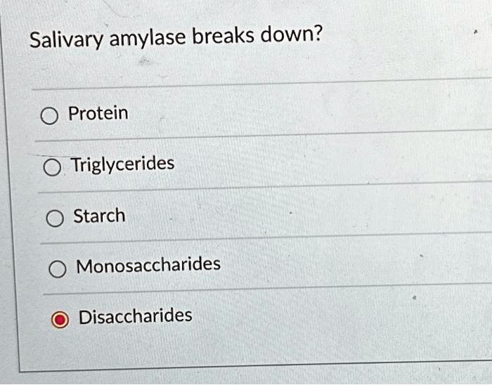 SOLVED: Text: Salivary amylase breaks down: - Protein - Triglycerides ... SOLVED: Text: Salivary amylase breaks down: - Protein - Triglycerides ...