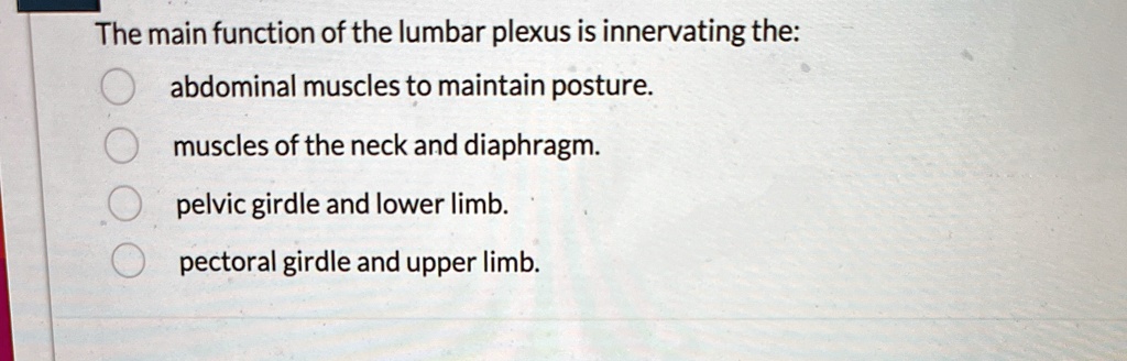 The main function of the lumbar plexus is innervating the: abdominal ...