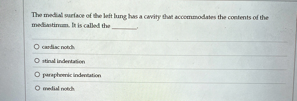 the medial surface of the left lung has a cavity that accommodates the ...