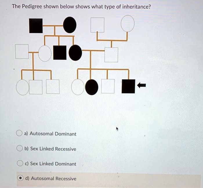 SOLVED:The Pedigree shown below shows what type of inheritance ...