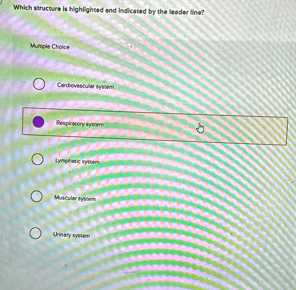 Which structure is highlighted and indicated by the leader line? Multiple Choice Cardiovascular ...