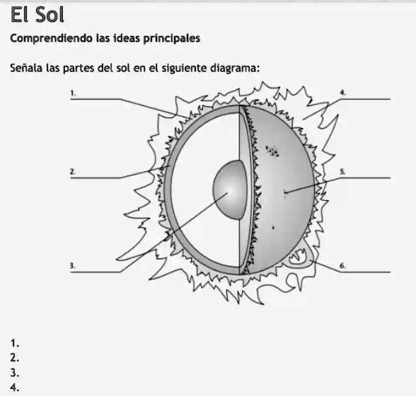 SOLVED: señala las partes del sol en el siguiente diagrama El Sol ...