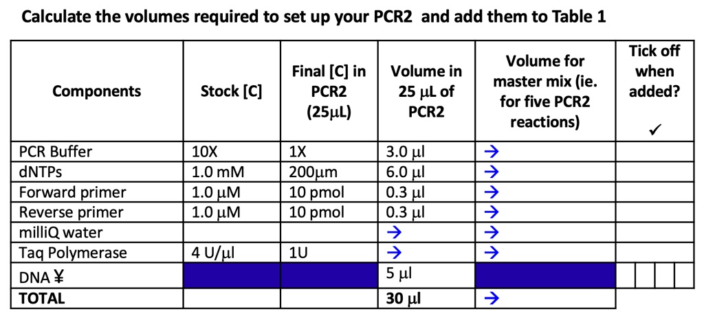 SOLVED: Calculate the volumes required to set up your PCR2 and add them ...