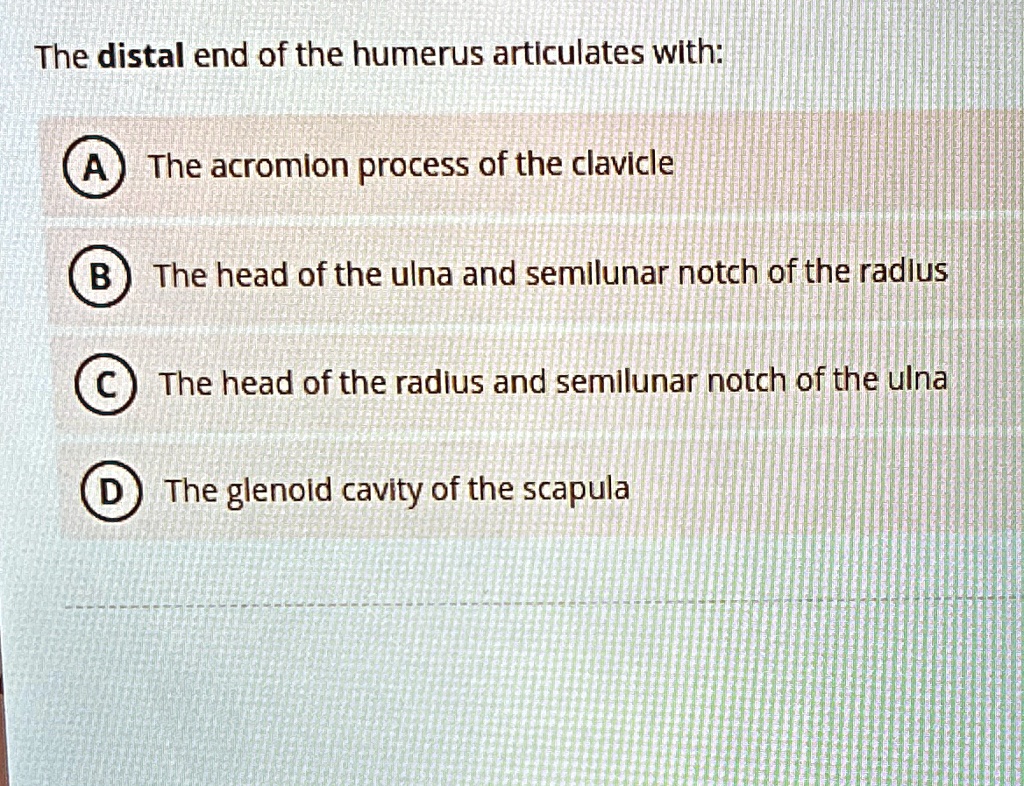 The distal end of the humerus articulates with: (A) The acromion ...