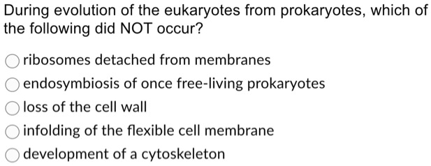 During evolution of the eukaryotes from prokaryotes, which of the ...