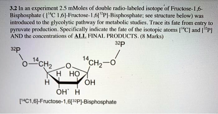 SOLVED:3.2 In an experiment 2.5 mMoles of double radio-labeled isotope ...