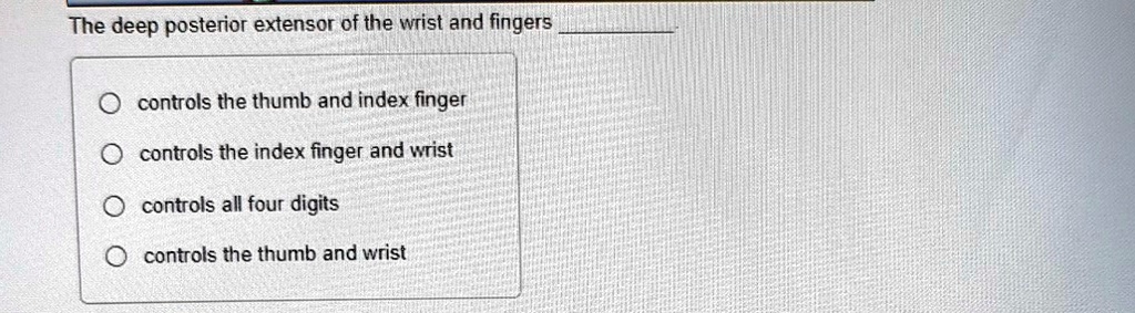 The deep posterior extensor of the wrist and fingers controls the thumb ...