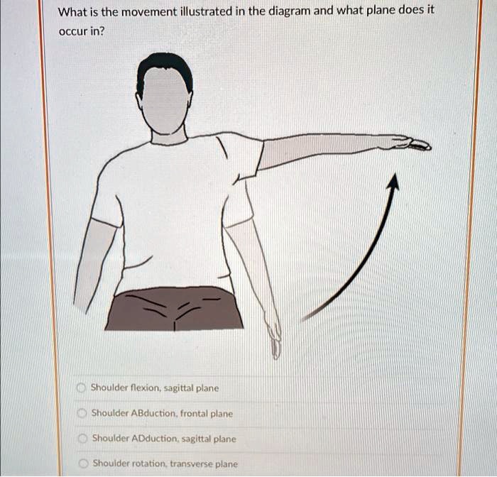 What is the movement illustrated in the diagram and what plane does it ...