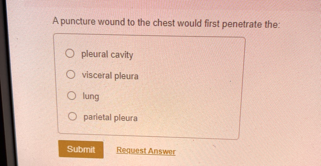 a puncture wound to the chest would first penetrate the o pleural ...