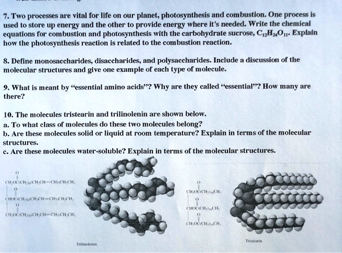 7. Two processes are vital for life on our planet, photosynthesis and ...