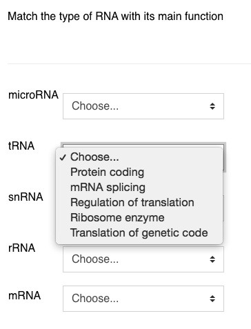 SOLVED: Match the type of RNA with its main function microRNA Choose ...