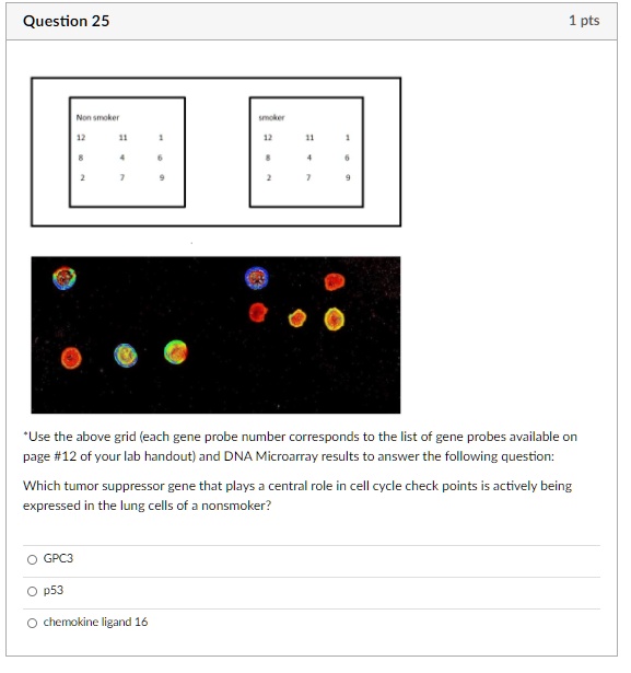 SOLVED: Mnaeneut Use the above grid (each gene probe number corresponds ... SOLVED: Mnaeneut Use the above grid (each gene probe number corresponds ...