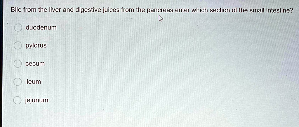 Bile from the liver and digestive juices from the pancreas enter which ...