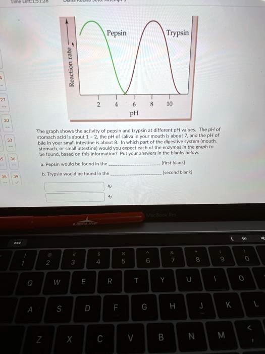 SOLVED: Pepsin Trypsin 1 L pH The graph shows the activity of trypsin ...