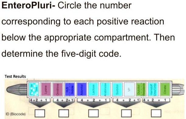 enteropluri circle the number corresponding to each positive reaction ...