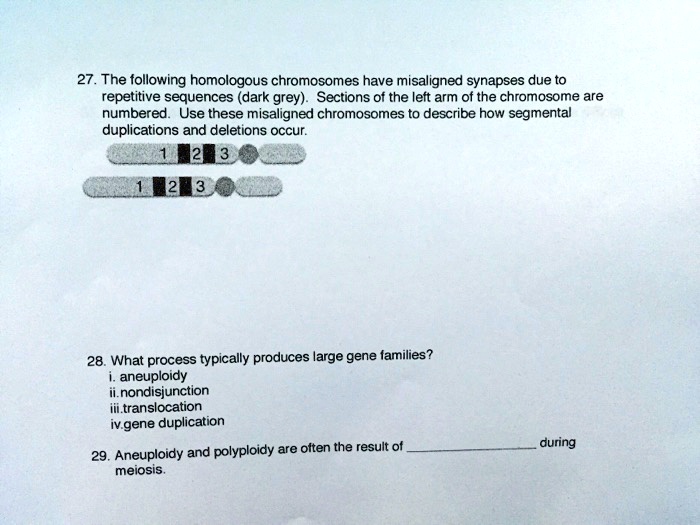 27. The following homologous chromosomes have misaligned synapses due ...
