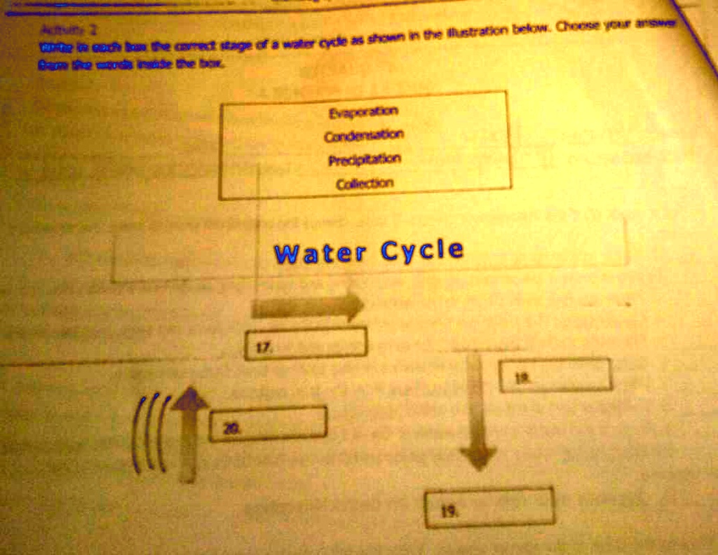 Activity 1 Write in each box the correct stage of a water cycle as ...
