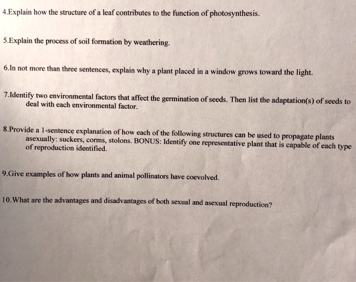 SOLVED 4Explain How The Structure Of A Leaf Contributes To The Function Of Photosynthesis N 5 solved-4explain-how-the-structure-of-a-leaf-contributes-to-the-function-of-photosynthesis-n-5