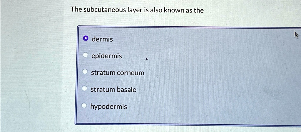 The subcutaneous layer is also known as the • dermis epidermis stratum ...