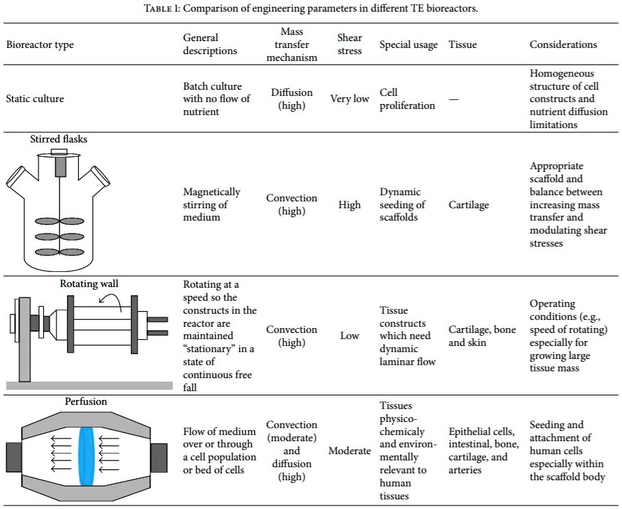 Table 1 Comparison Of Engineering Parameters In Different Te Bioreactors Bioreactor Type