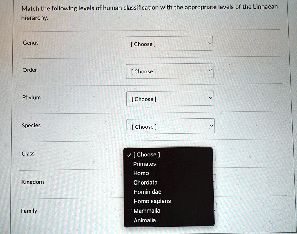 Match the following levels of human classification with the appropriate ...