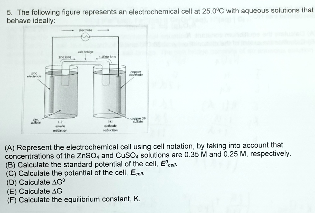 5 the following figure represents an electrochemical cell at 250c with ...