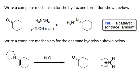 SOLVED: Write the complete mechanism for the hydrazone formation shown ...