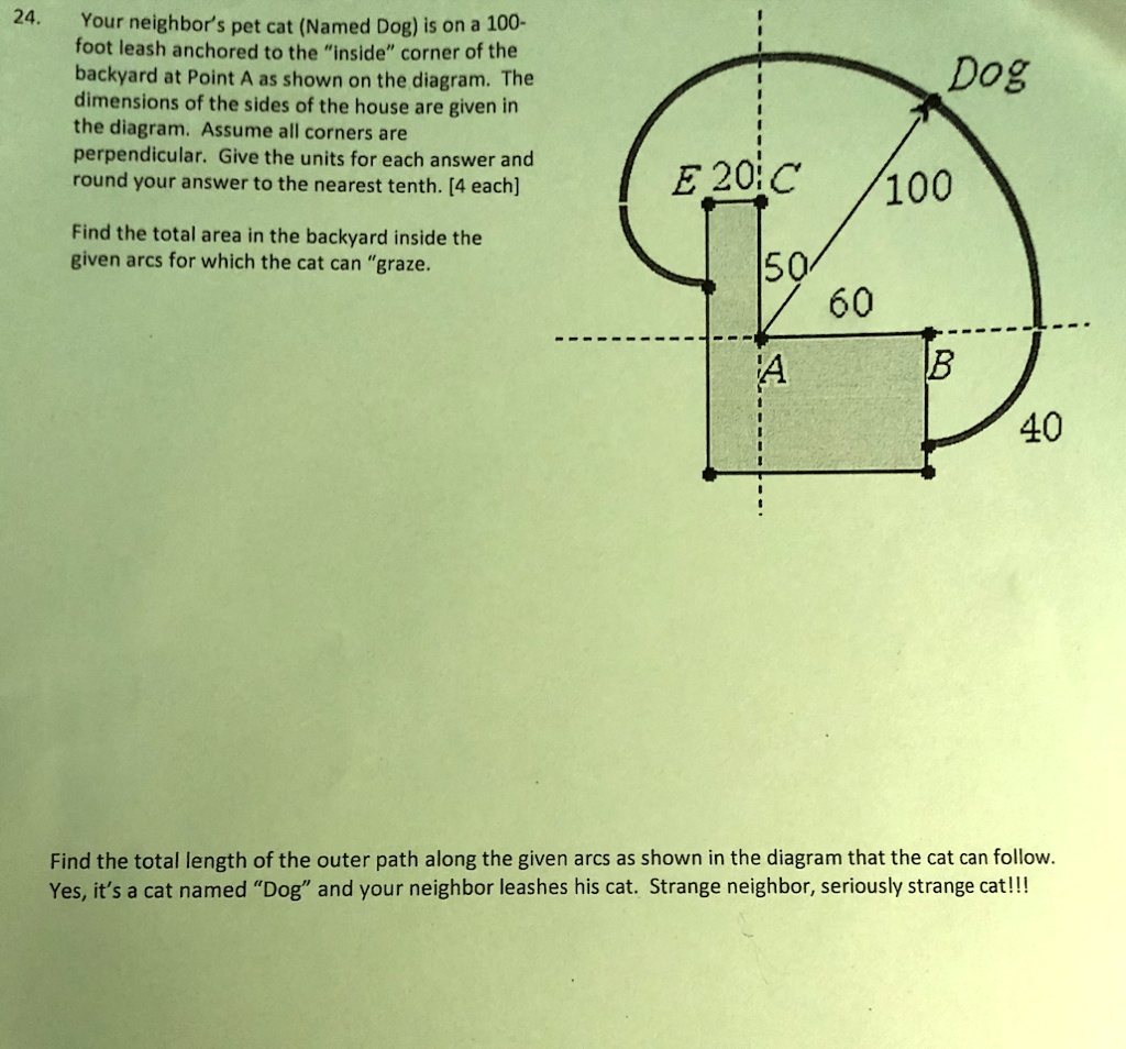 24. Your neighbor's pet cat (Named Dog) is on a 100- foot...
