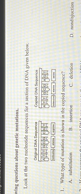 SOLVED: wing questions about genetic mutations. Look at the two ...